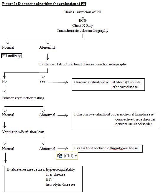 Pediatric Cardiology : Pulmonary Hypertension : Pulmonary Hypertension ...
